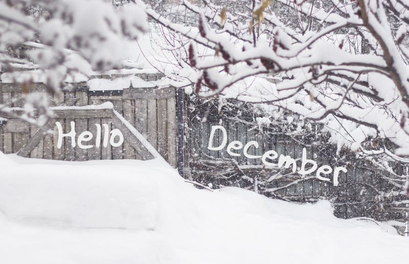 Hello December. Snowfall in a Countryside with Trees in Snow Stock ...