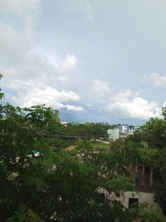 Hello everyone this is sky stock photo. Image of flower - 235227960