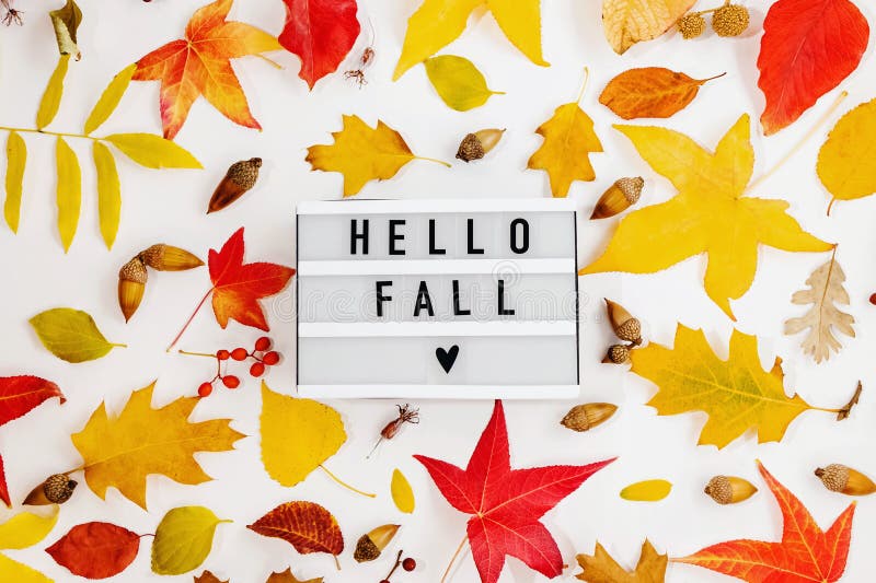 Hello Fall, Box with Text and Colorful Autumn Leaves, Seasonal Flat Lay ...