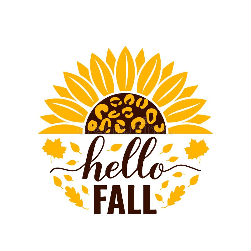 Hello Fall Round Sign with Sunflower. Autumn Decorations Stock Vector ...