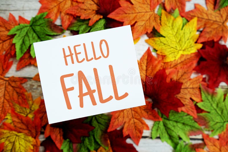 Hello Fall Text Message with Maple Leaves on Wooden Background Stock ...