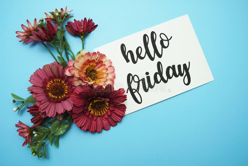 Hello Friday Typography Text with Daisy Flowers on Blue Background ...