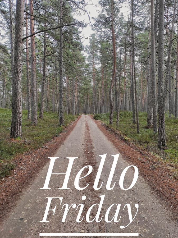 Hello Friday Written on Country Road in Forest Stock Photo - Image of ...