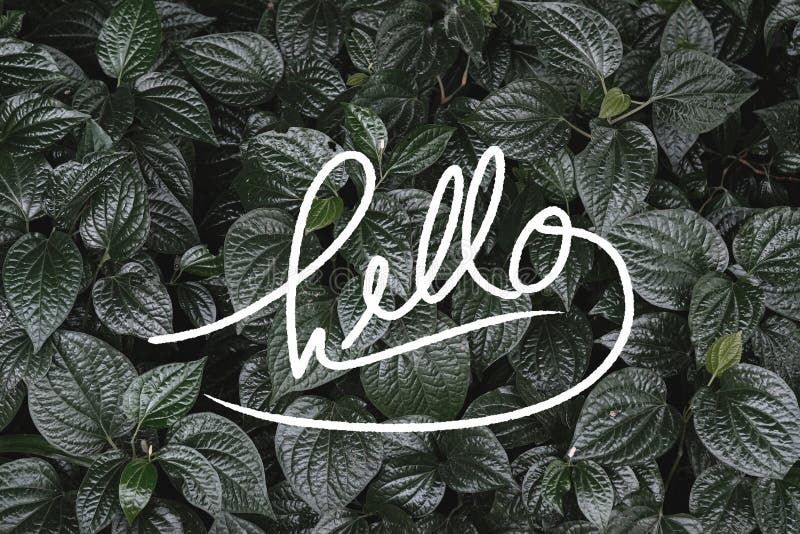 Hello on Green Leaves Background Stock Illustration - Illustration of ...