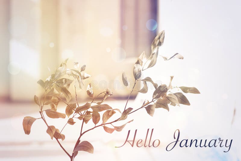 Hello January with Falling Leaves of Tree Stock Image - Image of ...