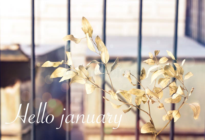 Hello January with Falling Leaves of Tree Stock Photo - Image of ...