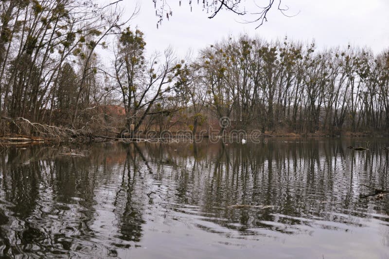 January Jello Stock Photos - Free & Royalty-Free Stock Photos from ...