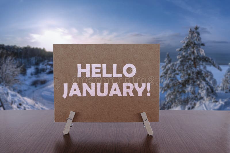 Winter Landscape with Sea and Covered in Snow Pine Trees in Moonlight ...