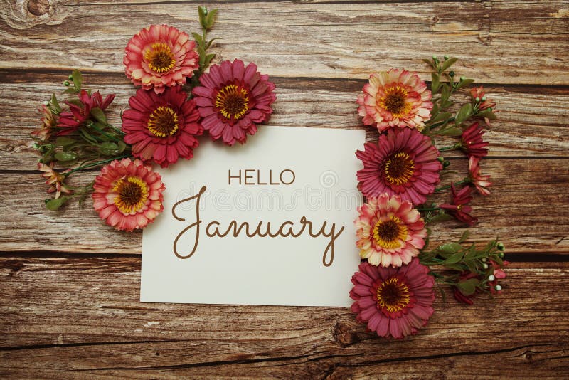 Hello January Typography Text Flowers Wooden Background Stock Photos ...