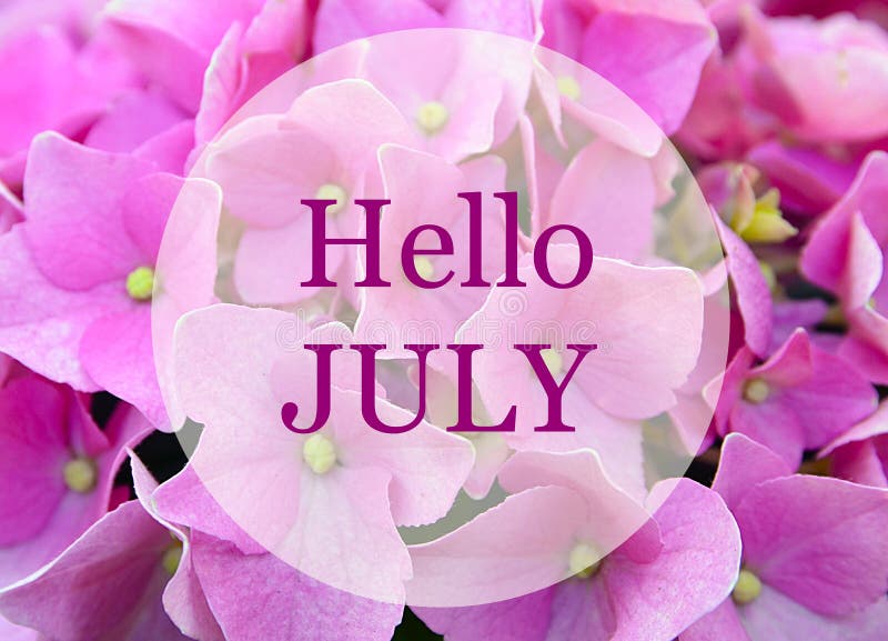 Hello July. Inscription July on a Blue Background and Small Elements ...