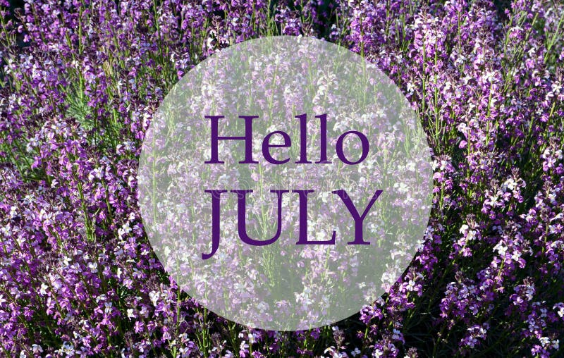 427,737 Violet Summer Stock Photos - Free & Royalty-Free Stock Photos ...