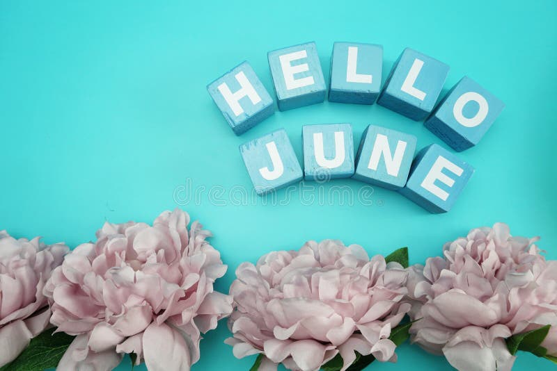 Hello June with Artificial Peony Flower on Blue Background Stock Image ...