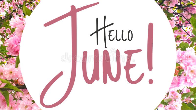 Hello JUNE. Decorative Font Made in Swirls and Floral Elements. Stock ...