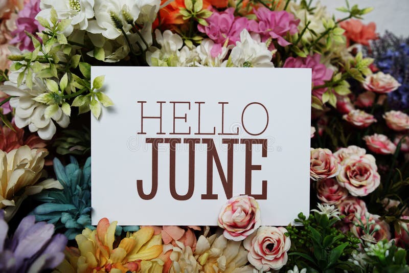 Hello June Text Message on Paper Card with Beautiful Flowers Decoration ...
