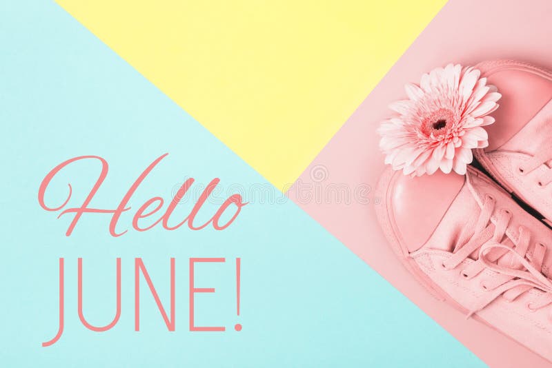 Hello June Text and Pink Gerbera Flower on Pink Background. Hello June ...