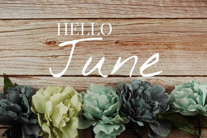 Hello June Typography Text with Blue Flowers Bouquet on Wooden ...