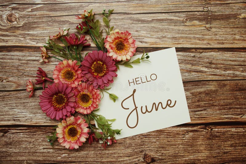Hello June Typography Text Flowers Wooden Background Stock Photos ...