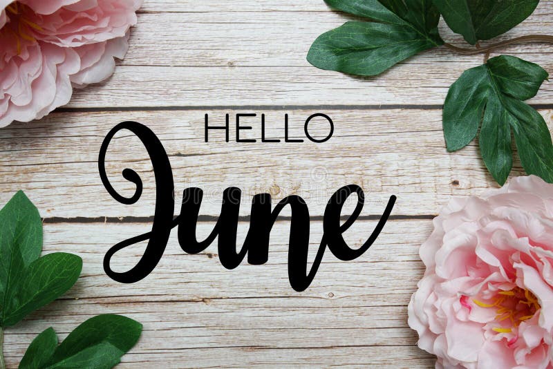 Hello June Typography Text with Peony Flowers on Wooden Background ...