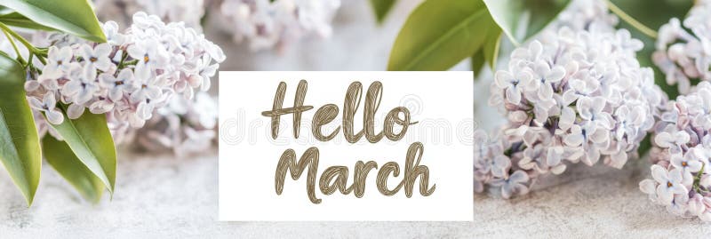 Hello March Floral Design with Pastel Lilacs and Bokeh Background Stock ...