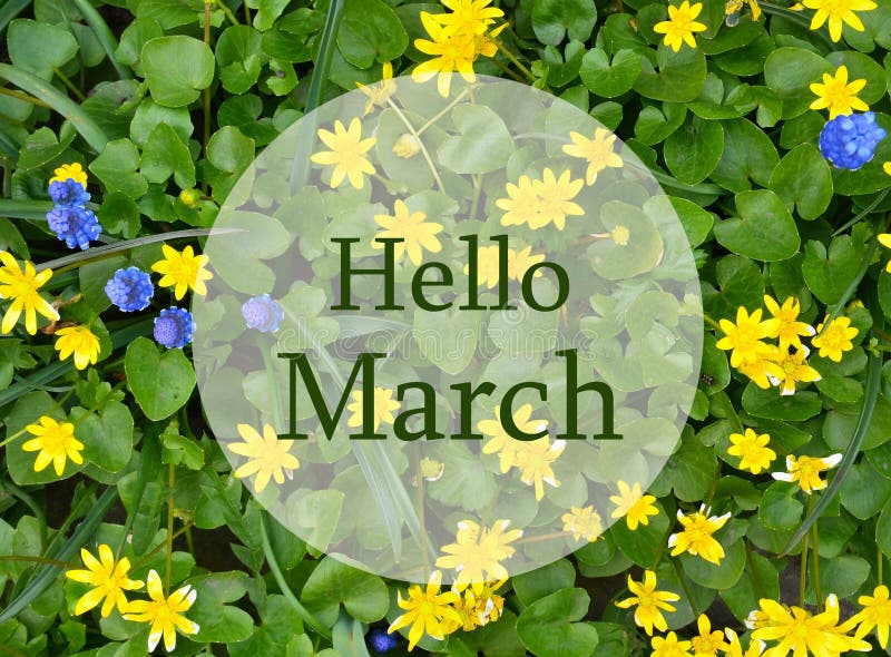 Hello March Greeting Card with Blue Scilla First Spring Flowers ...