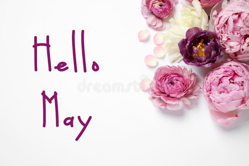 Hello May. Composition with Beautiful Flowers on White Background, Top ...