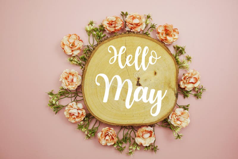 Hello May Typography Text Decorate with Flower on Pink Background Stock ...