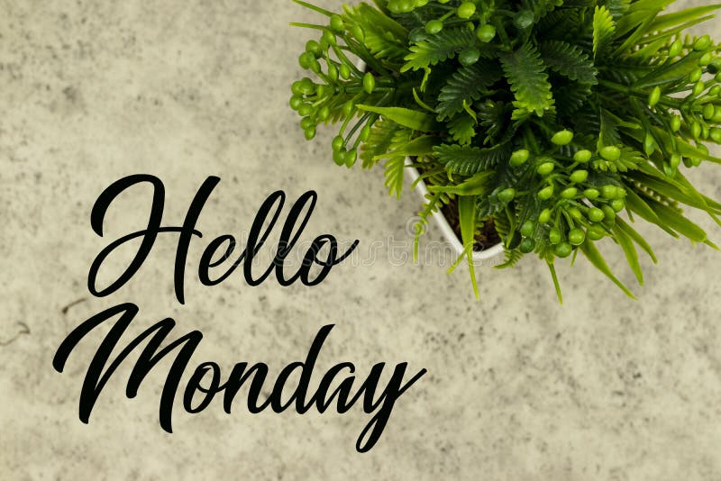 Hello Monday Concept with Potted Plant Stock Photo - Image of gardening ...