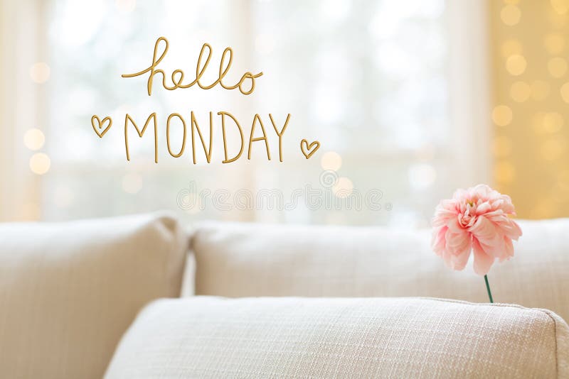 Hello Monday Message with Flower in Interior Room Sofa Stock Photo ...