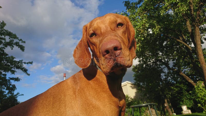 Hello my friends stock image. Image of cute, helo, friends - 110782409