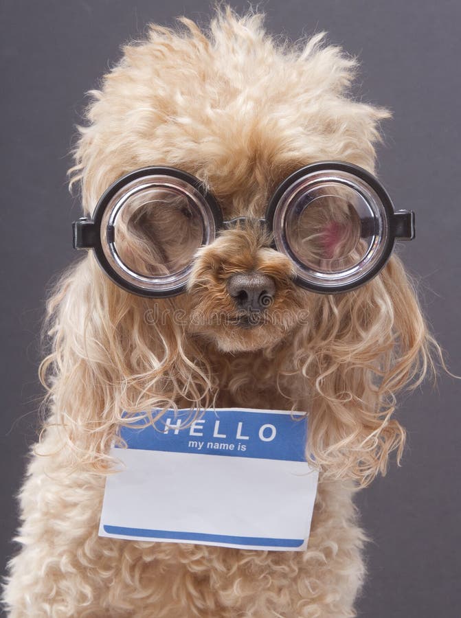 Hello My Name is...Nerd stock image. Image of meeting - 28660885