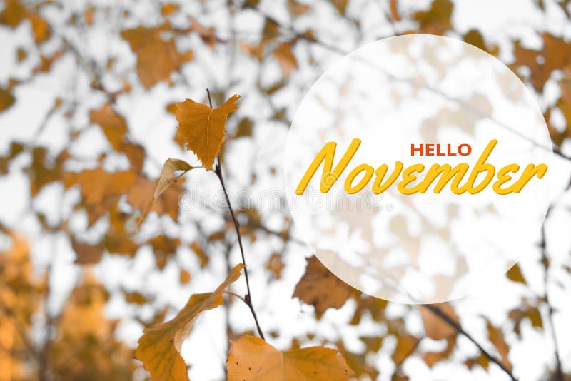 Hello November Autumn Composition. Yellow and Orange Leaves on Sky ...
