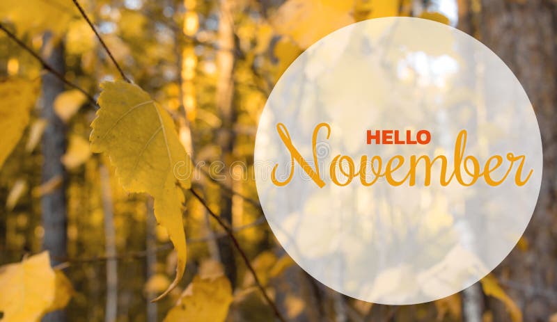 Hello November. Autumn Concept. Composition in Forest Stock Photo ...