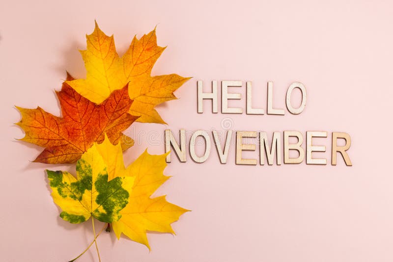 Hello November - Text and Autumn Leaves on a Pastel Background. Autumn ...