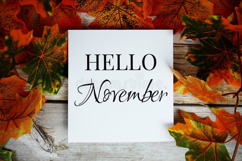 Hello November Text with Maple Leaf Decorations Top View on Wooden ...
