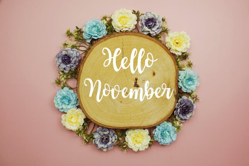 Hello November Typography Text Decorate with Flower on Pink Background ...