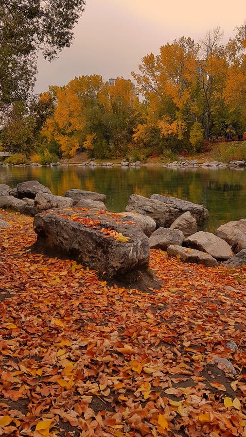 Hello October stock photo. Image of short, alberta, fall - 128211490
