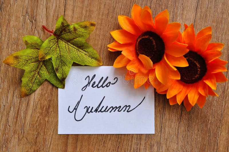 Hello Autumn Card between Autumn Colored Leaves and Sunflower Stock ...