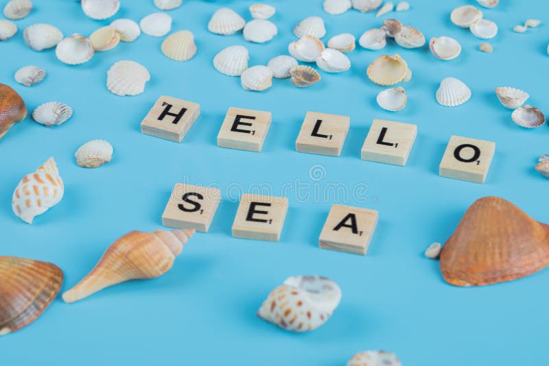 Hello Sea Quote on Blue Background with Sea Shells Around Stock Photo ...