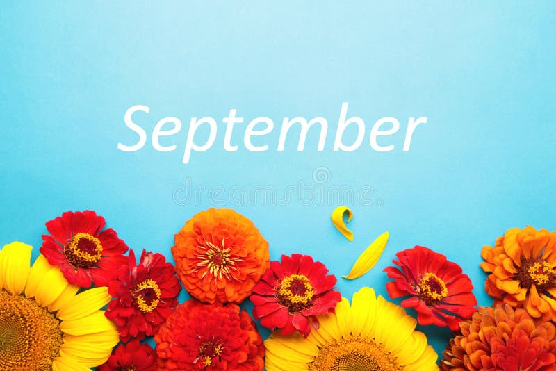 Hello September Message with Different Autumn Flowers on Blue ...