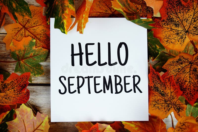 Hello September Text with Maple Leaf Decoration Top View on Wooden ...
