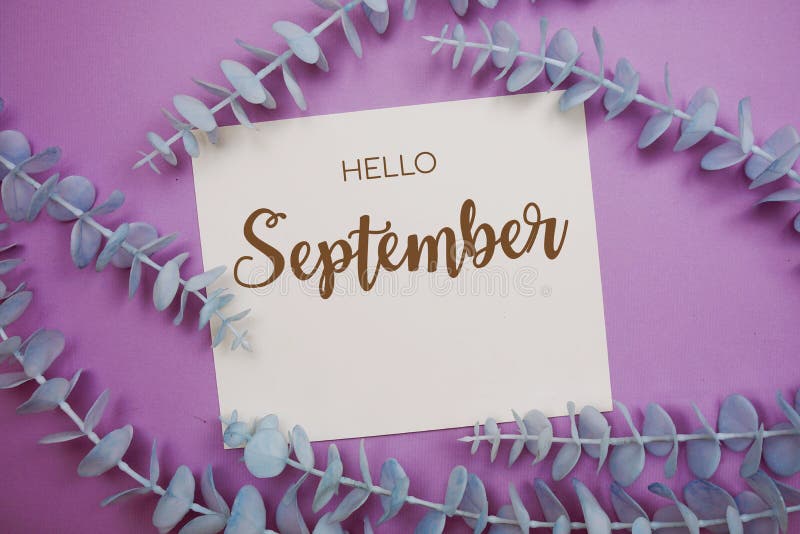 Hello September Typography Text on Paper Card Decorate with Eucalyptus ...
