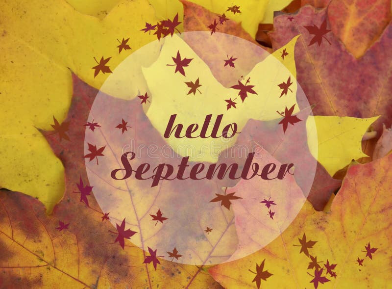 Hello September.Yellow and Red Maple Leaves Background with Text.Fall ...