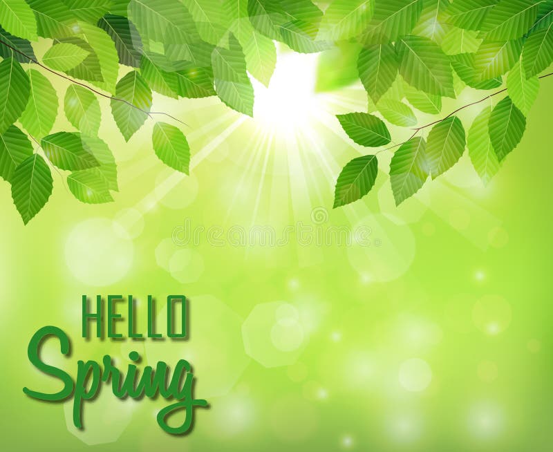 Hello Spring Background with Fresh Green Leaves Stock Vector ...