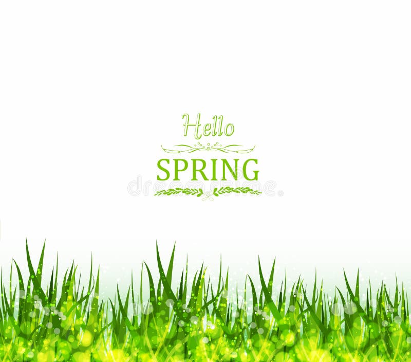 Spring sale stock vector. Illustration of sales, summer - 13575688