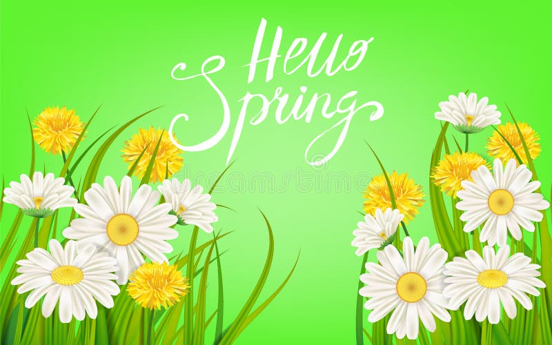 Spring Banner. Hand Drawn Lettering. Background with Chamomile, Daisy ...