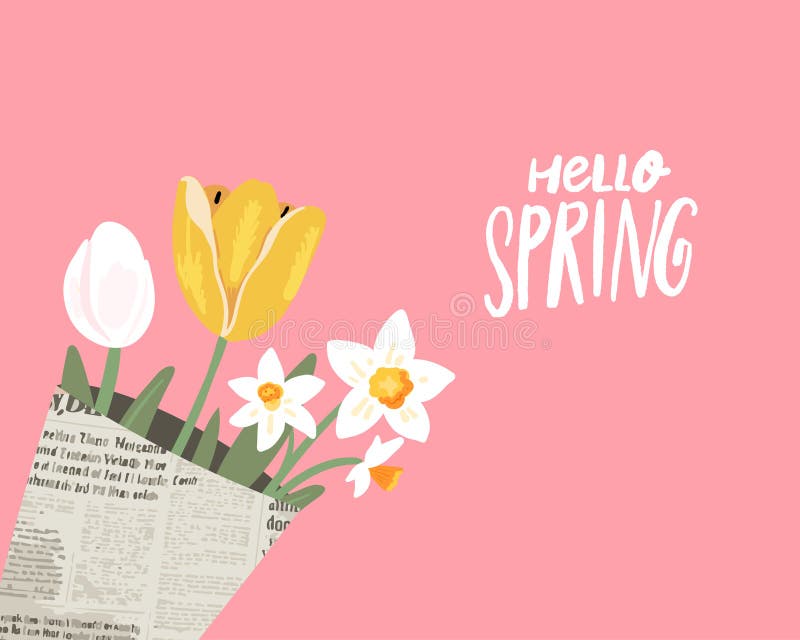 Hello Spring Banner, Tulips and Daffodils Bouquet in Newspaper on Pink ...