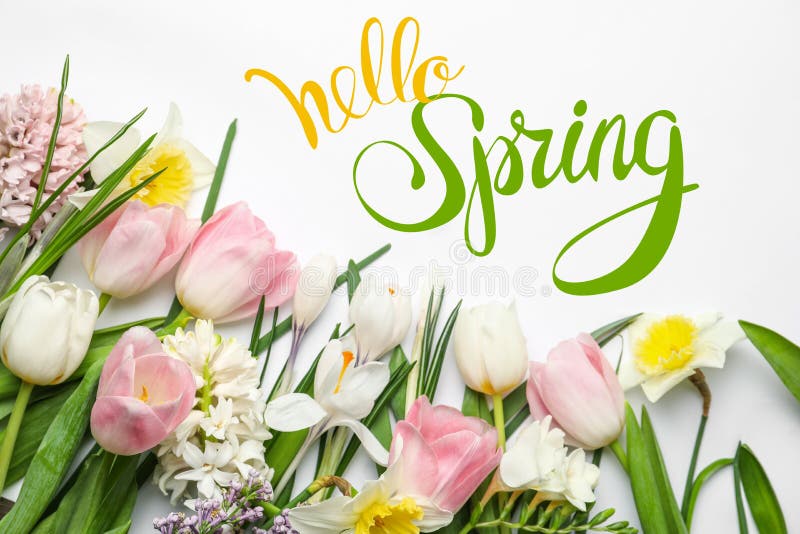 Hello Spring. Beautiful Flowers on White Background, Flat Lay Stock ...