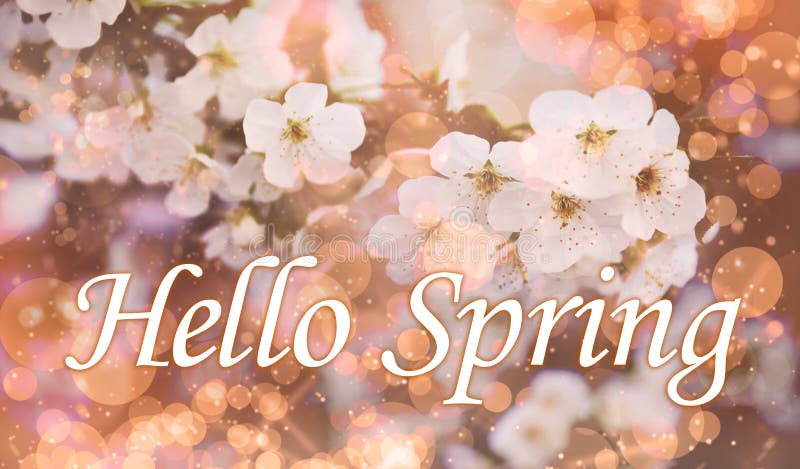 Hello Spring. Blossoming Tree Outdoors, Bokeh Effect Stock Image ...