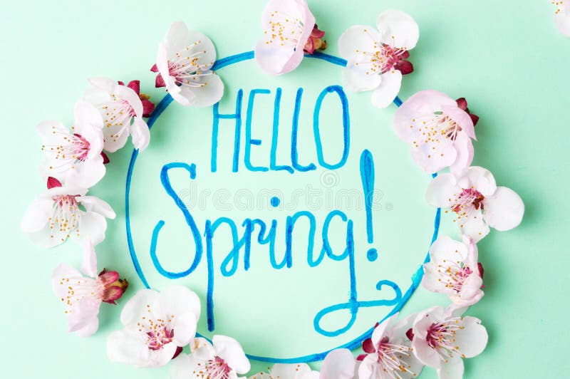 Hello Spring Note with Cherry Blossom Flowers Stock Photo - Image of ...