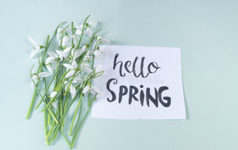 Hello Spring Calligraphy Note Decorated with Snowdrops on Light Stock ...